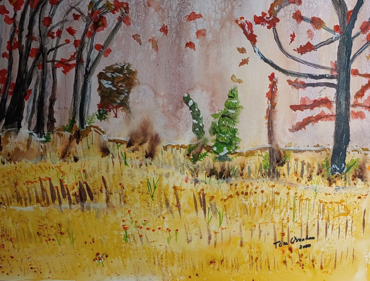 First Snowfall - watercolor, in Recent Artwork, Mountains, Valleys ...